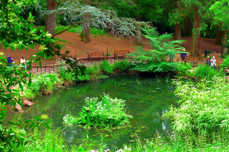 Beautiful Welsh park has exotic plants, ponds, and access to mountain ...