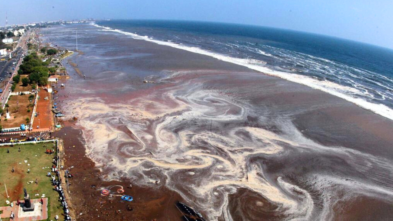 The Natural Disaster That Shifted the Earth's Rotation