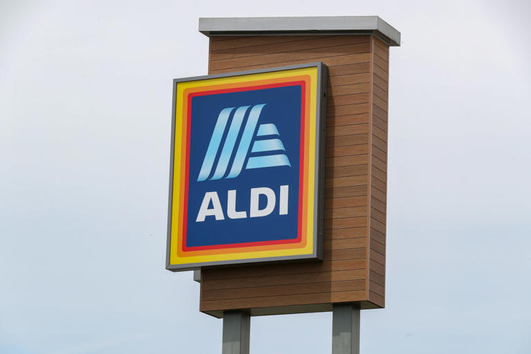 Aldi's New Insulated Collapsible Bags Are Perfect for Back to School