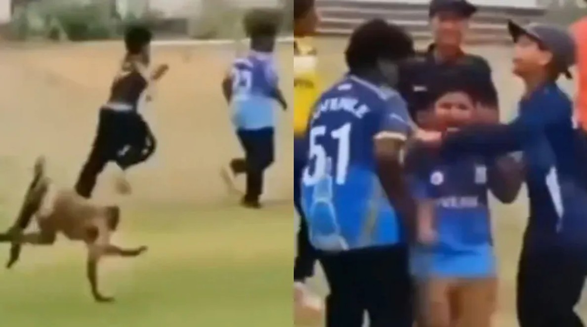 WATCH: Monkey interrupts cricket match, chases young players on field