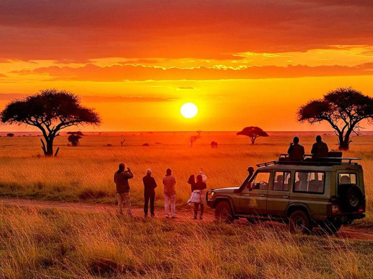 Chasing Pink And Orange Skies: A Guide To The World’s Most Dreamy ...