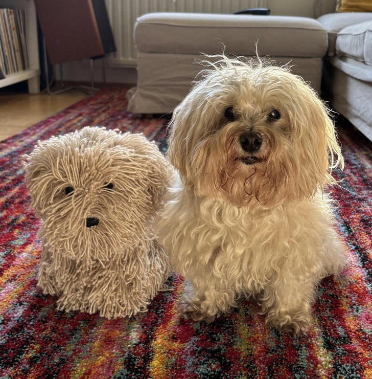 12 People Who Created Masterpieces With Their Crochet