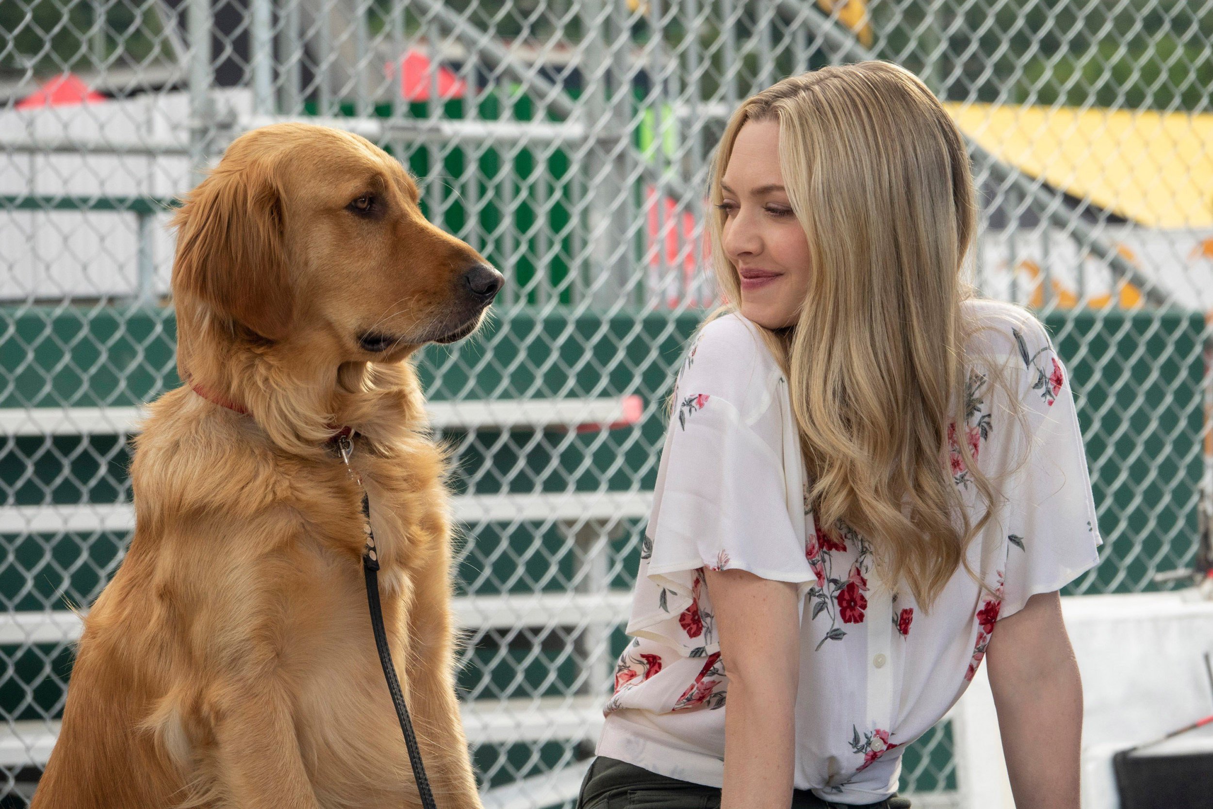 'Perfect' film races up Netflix charts
