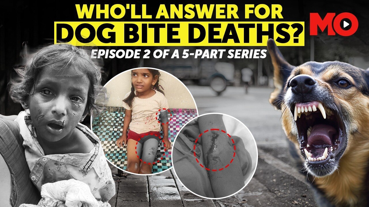 Dog bite horror in India: Broken system, broken families | Episode 2