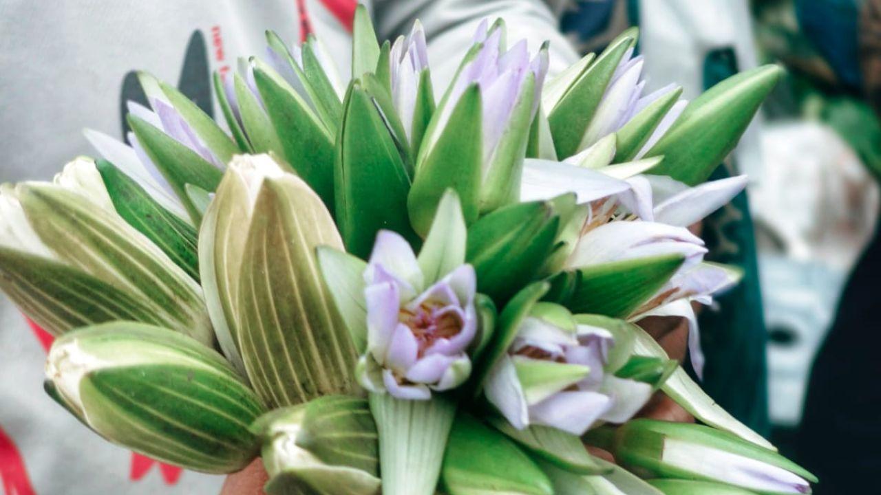In Photos Dadar flower market blooms with festive spirit ahead of ...