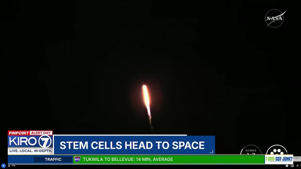 VIDEO: Stem cells head to space