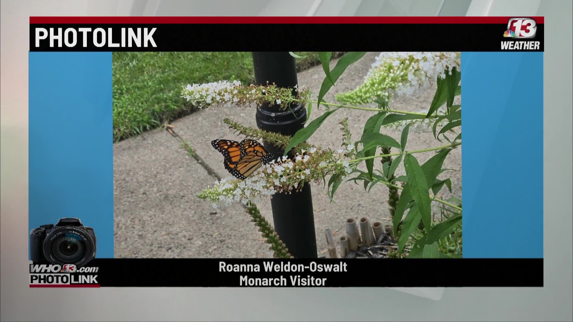 Megan Salois' Monday Forecast