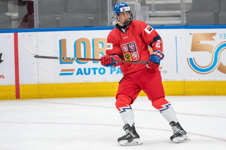 Top 75 NHL-affiliated skater prospects in 2025-26