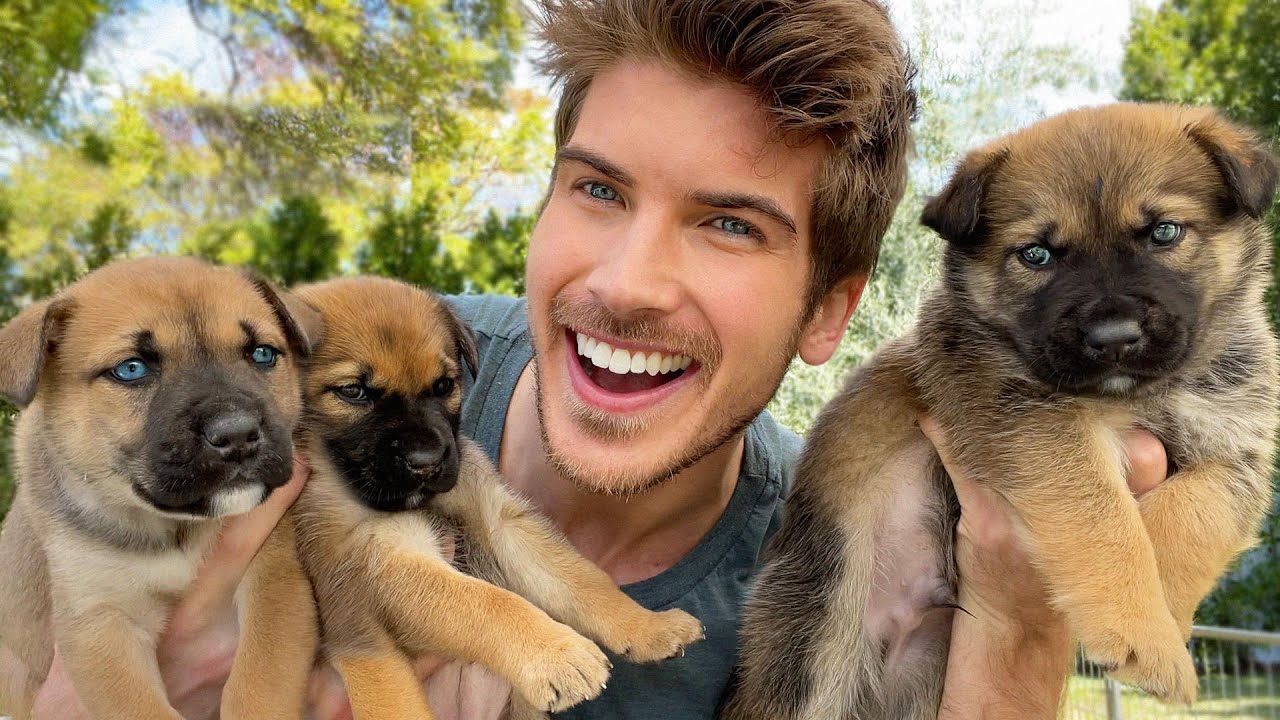 Naming one-month-old rescue puppies after arrival