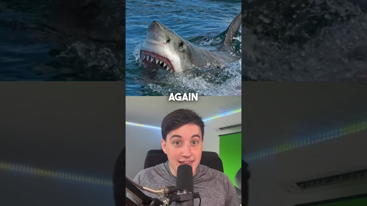 What research reveals about whether sharks target human beings
