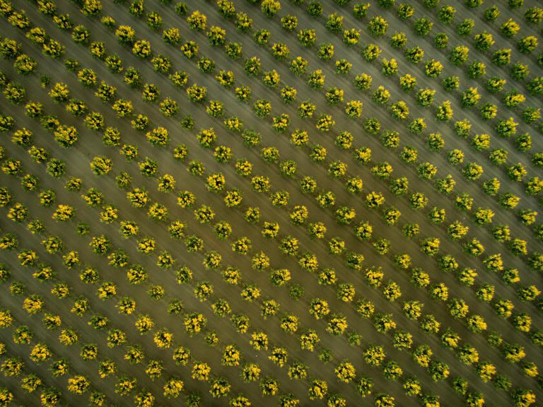 Permits were expedited for this California clean energy project. Were ...