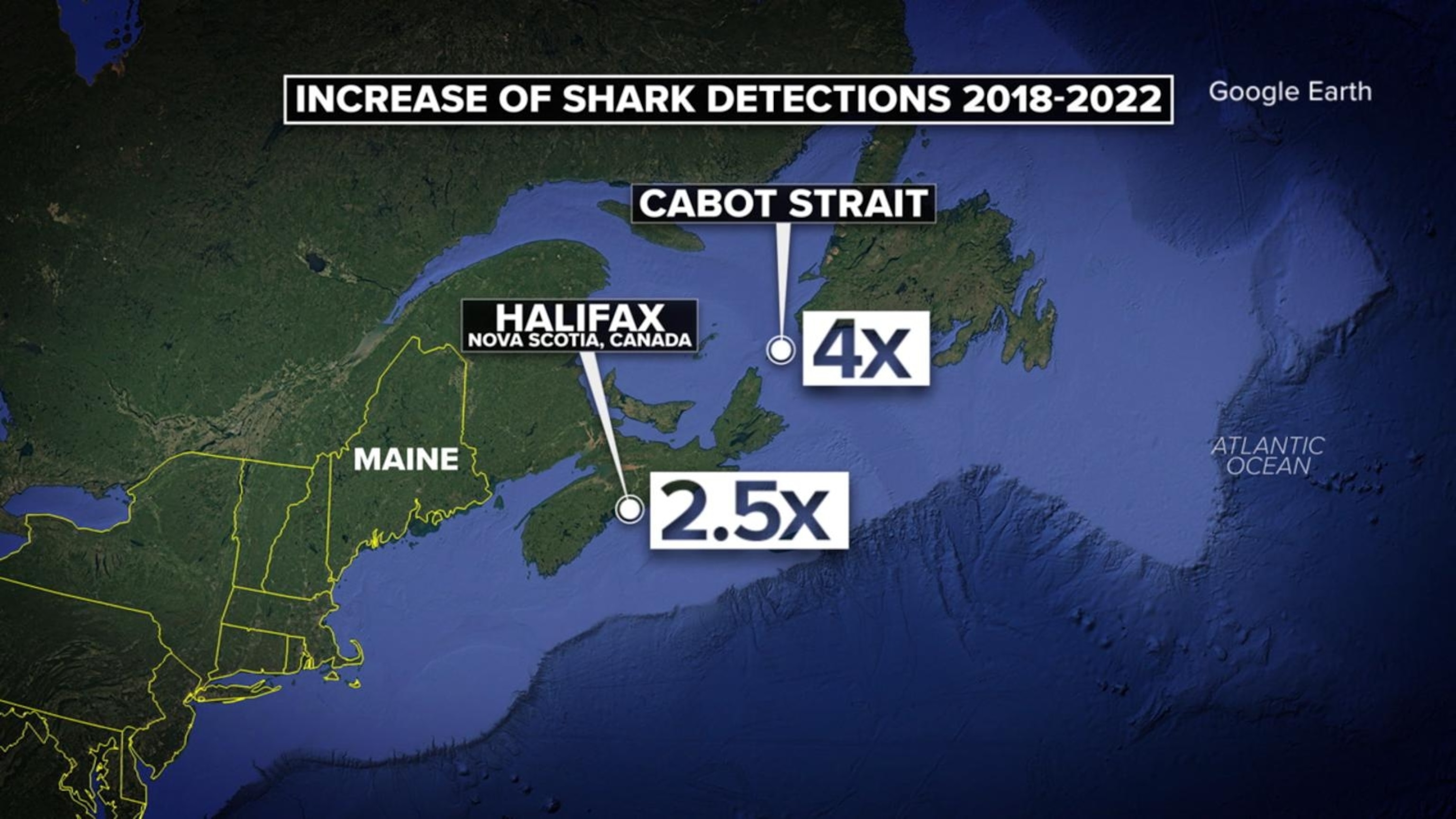 Sharks moving north to Maine and beyond, experts say