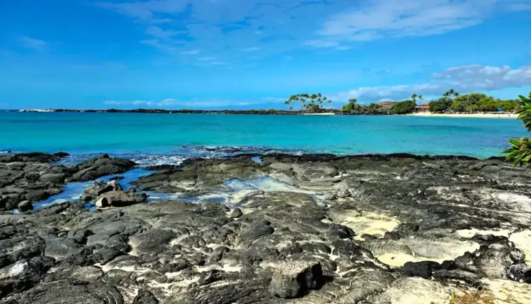 Discovering Serenity: A Guide to Big Island's Hidden Wild Beaches