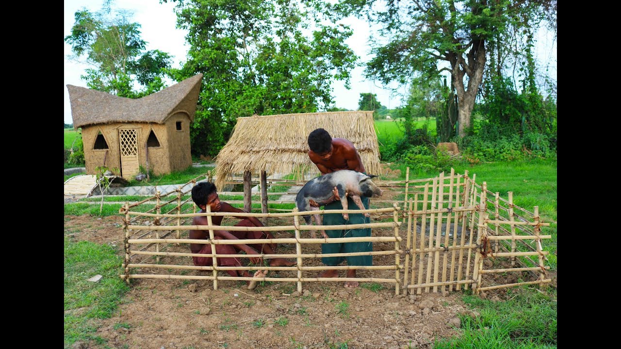How to Build a Mini House for Wild Pigs