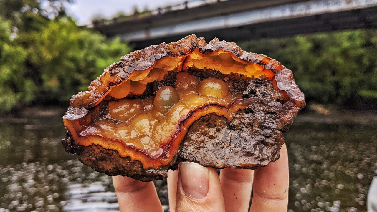 Botryoidal Agate and Crystal-Filled Fossil Coral Discovered ...