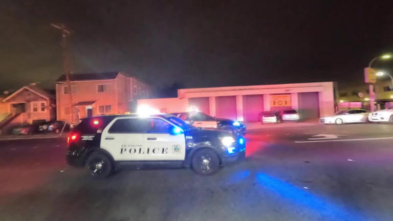500 appear at Oakland sideshow, police union complains about staffing
