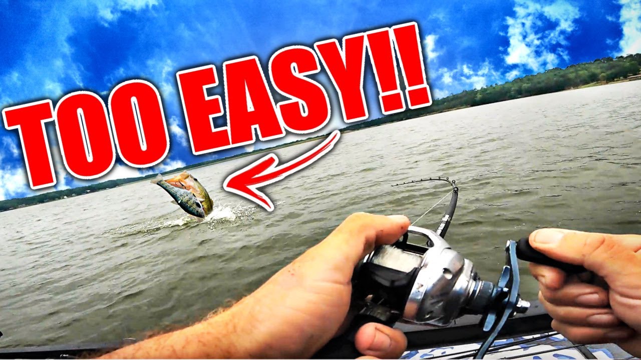 How to call your shot using a massive swimbait for big bass