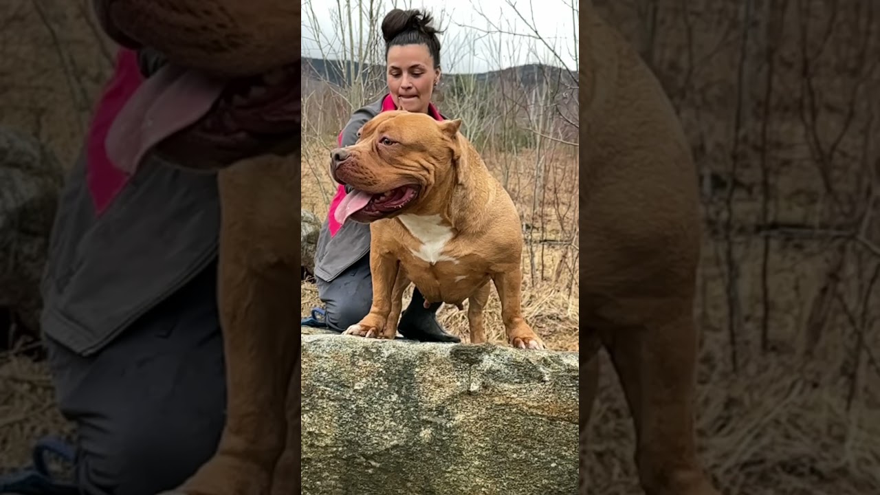 Meet Hulk’s next big companion—a mammoth in the making