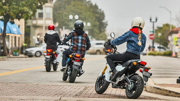 Surprising Honda Grom On Highway Pictures
