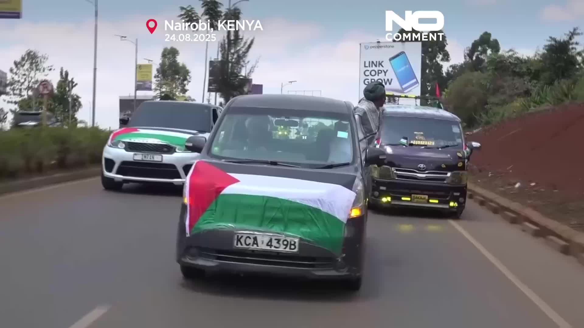 WATCH: Hundreds join demonstration in Kenyan capital over war in Gaza