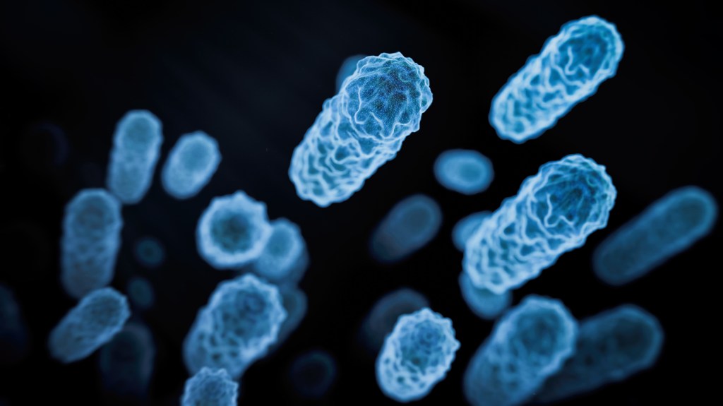 Scientists have created a new life form