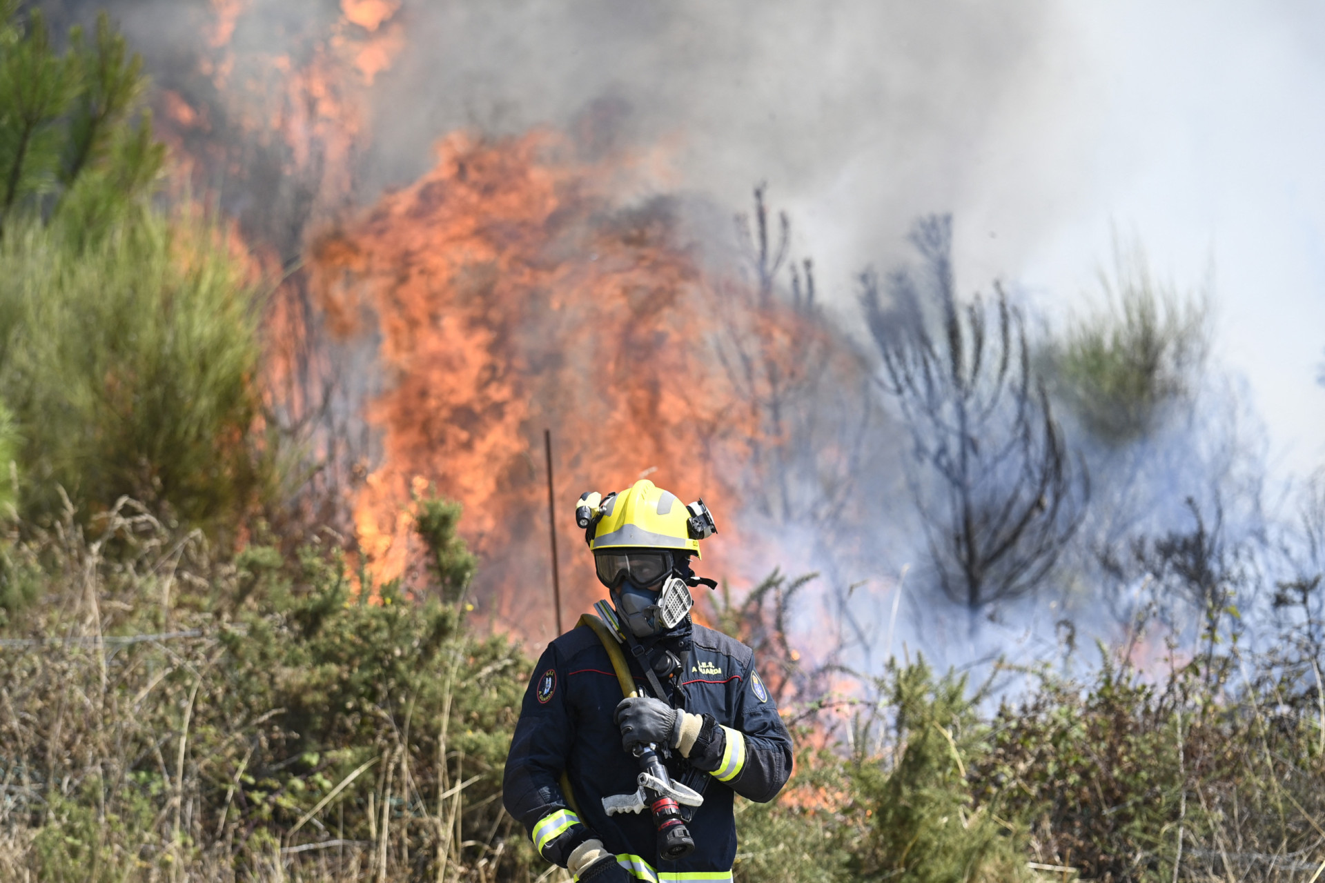 Wildfires: what indigenous fire methods teach us