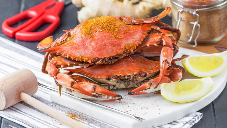 Maryland seafood festivals to enjoy this summer