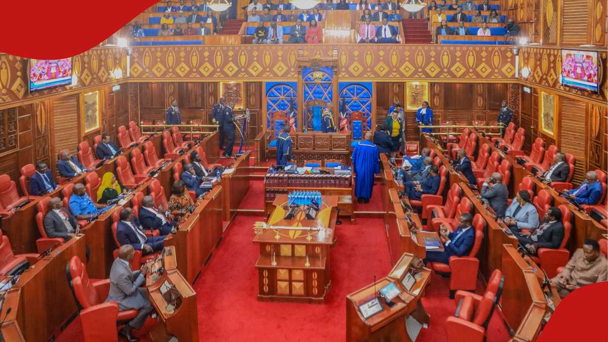 Senate invites Kenyans to register for business opportunities as goods ...