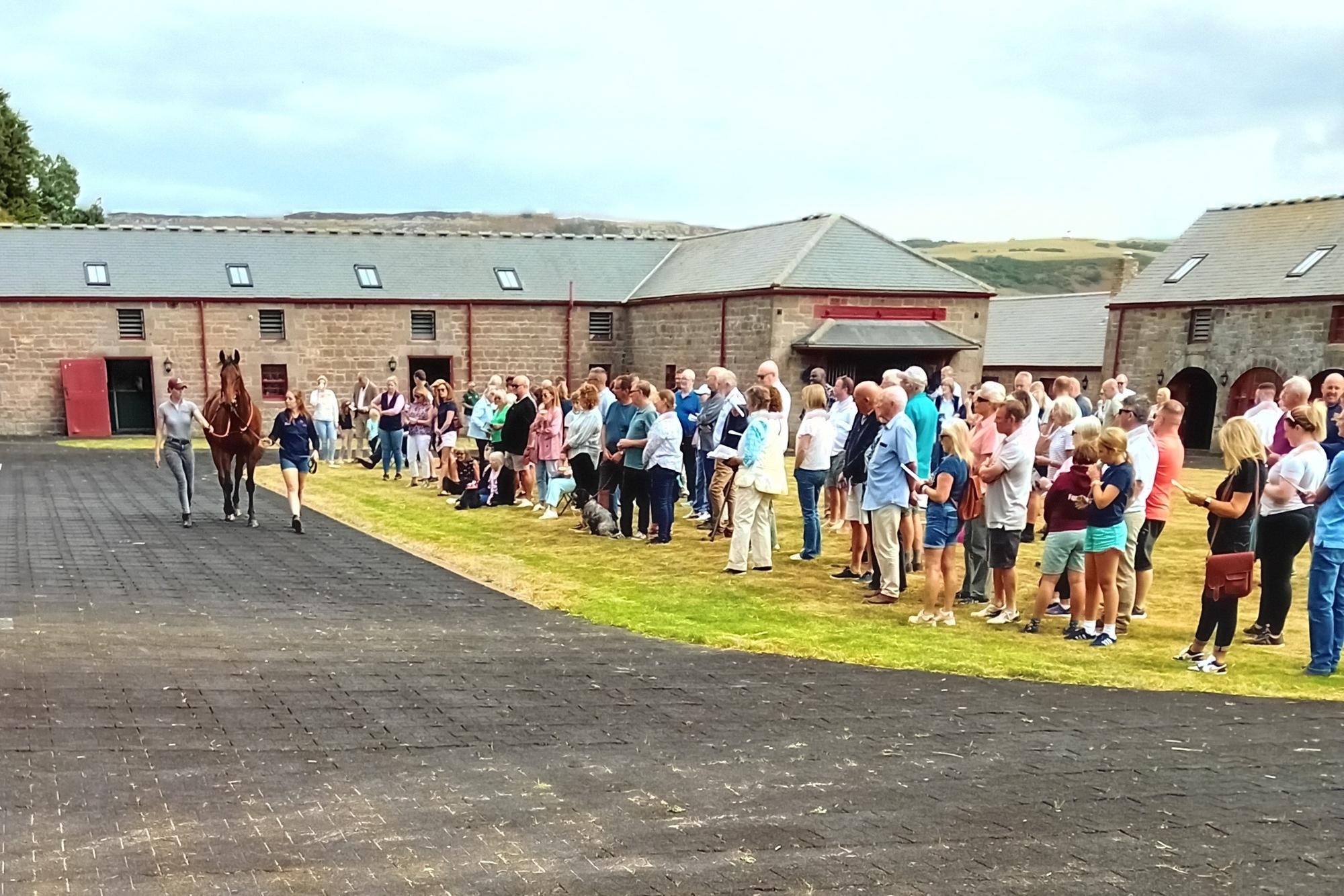 South Hazelrigg trainer Paul Robson hosts a successful open day as he ...