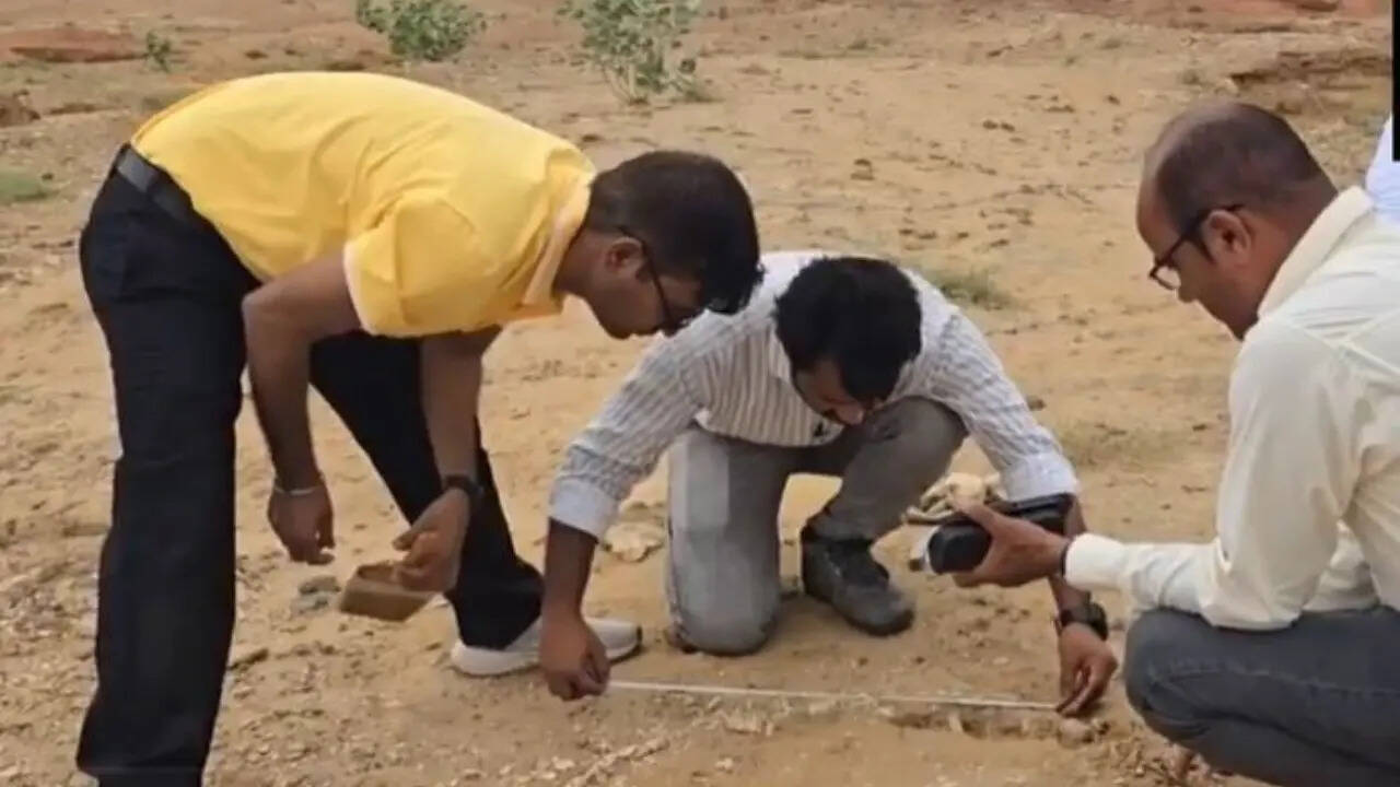 Jurassic Ghost in Thar? 201-million-year-old Phytosaur Fossil ...