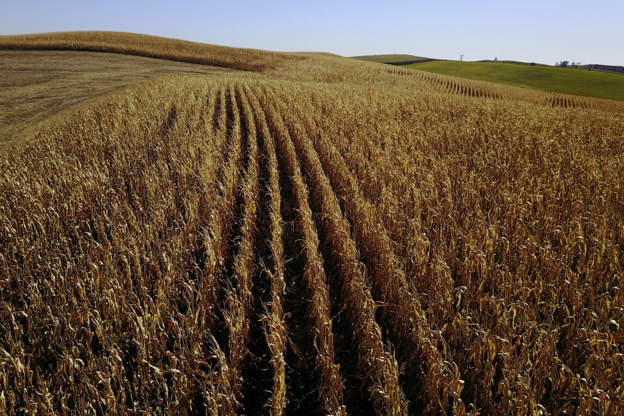 USDA Still Sees Record U.S. Crop Output This Year