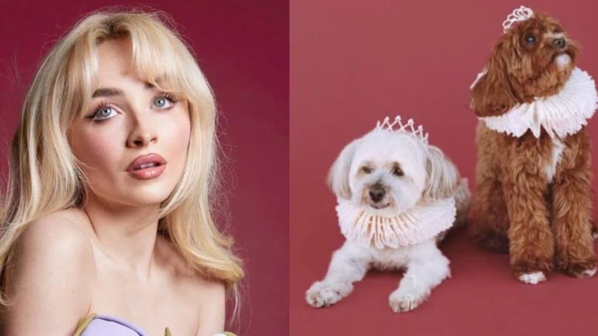 Sabrina Carpenter’s dogs steal spotlight in playful ‘Dogue’ photo shoot
