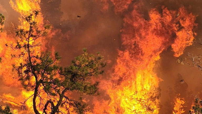 22,000-acre Flat Fire in central Oregon destroys four homes, 5% contained