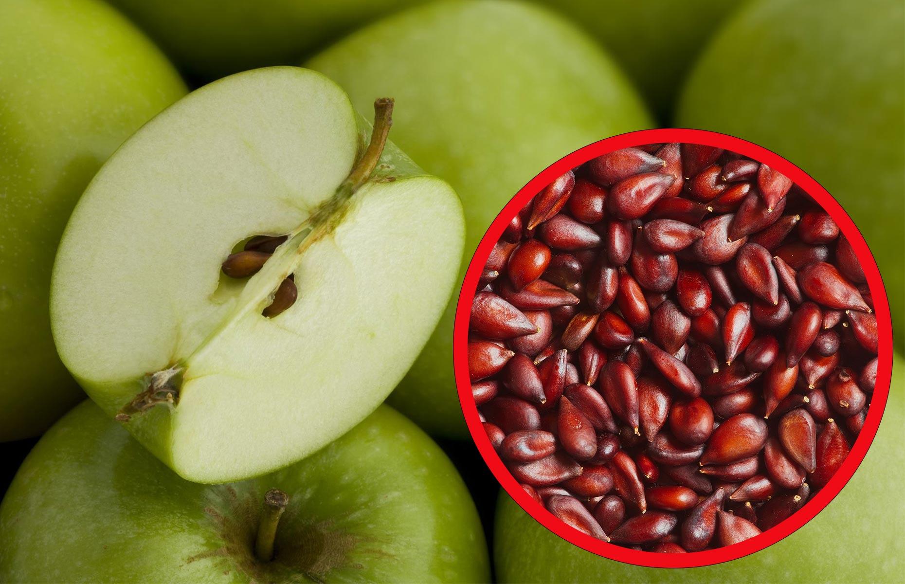 Apple pips and 28 other common foods that can be DEADLY