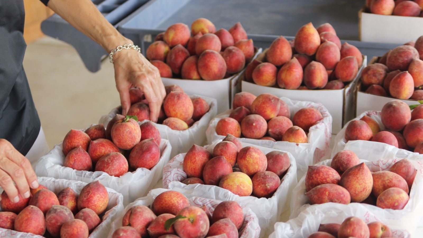 Georgia small towns with August peach festivals