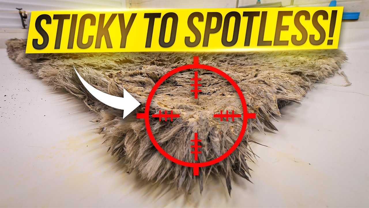 Cleaning a Rug Covered in a Sticky Substance