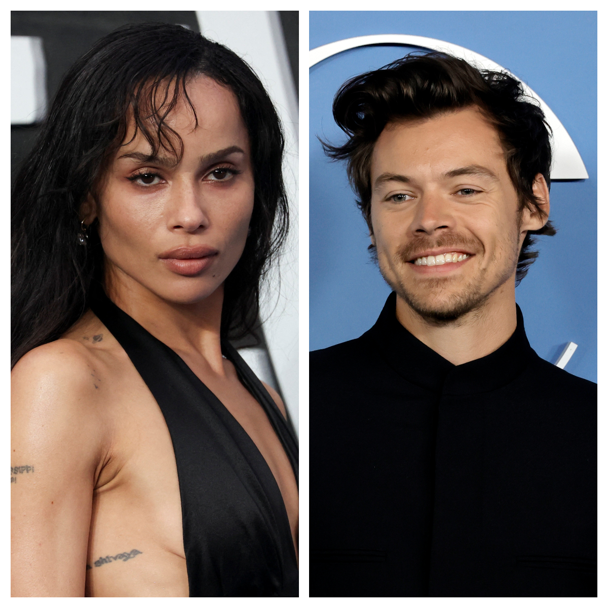 Inside the north London compound Harry Styles rumoured to be moving new ...
