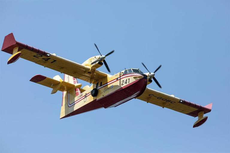 Following destructive wildfires, New Brunswick reopens forest access