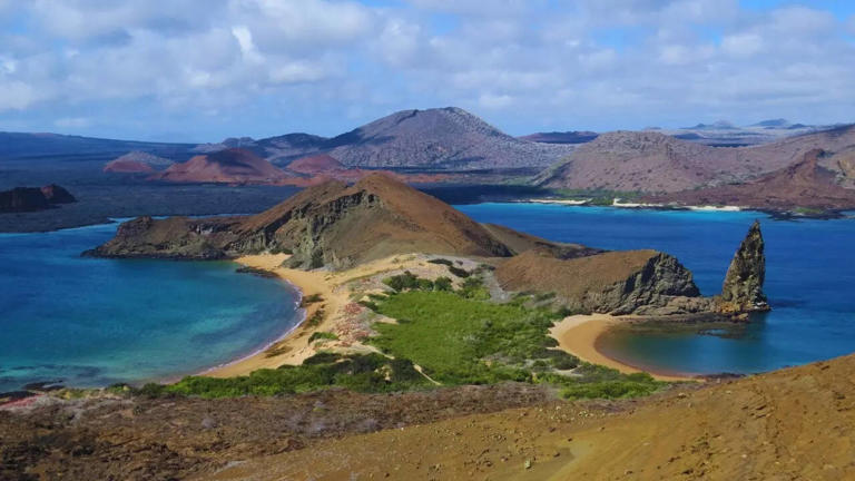 Wildlife encounters at the Galápagos Islands: The archipelago that ...