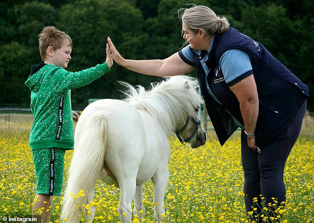 How mini horses have helped children find their voice - and the sick in ...