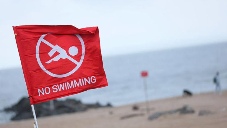 Public health alert: High bacteria levels at 5 Washington beaches