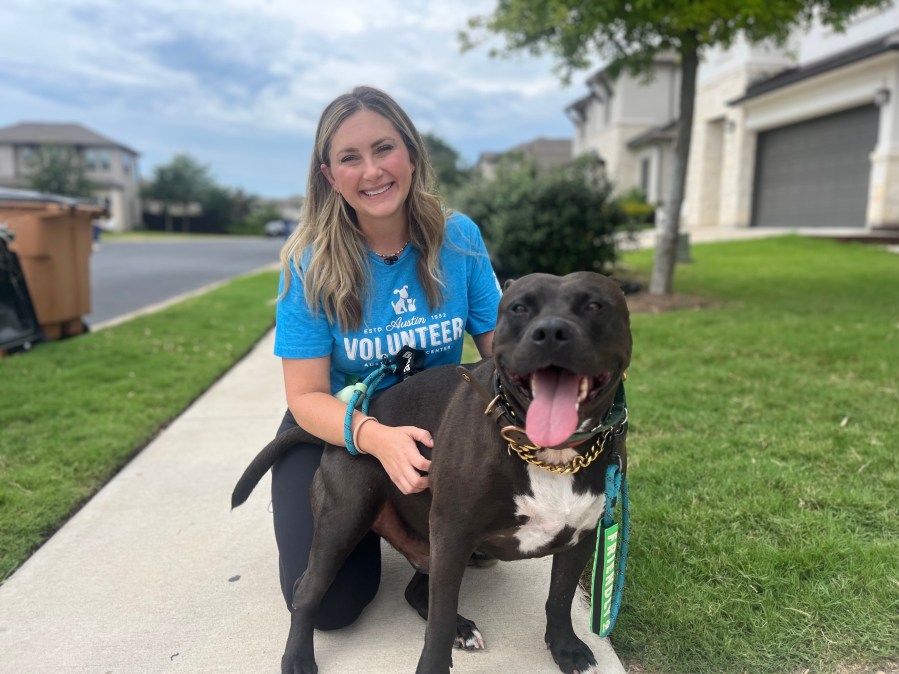 ‘They’ll go viral’: Rescue influencers help boost animal adoptions in ...