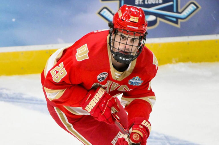 Top 75 NHL-affiliated skater prospects in 2025-26