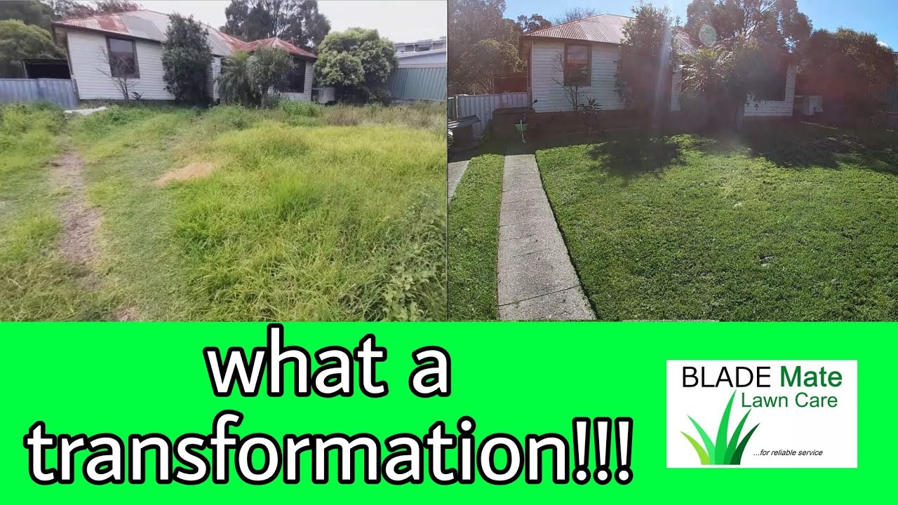 Follow-Up to Two Massive Free Cleanups with the Victa Mulchmaster 560