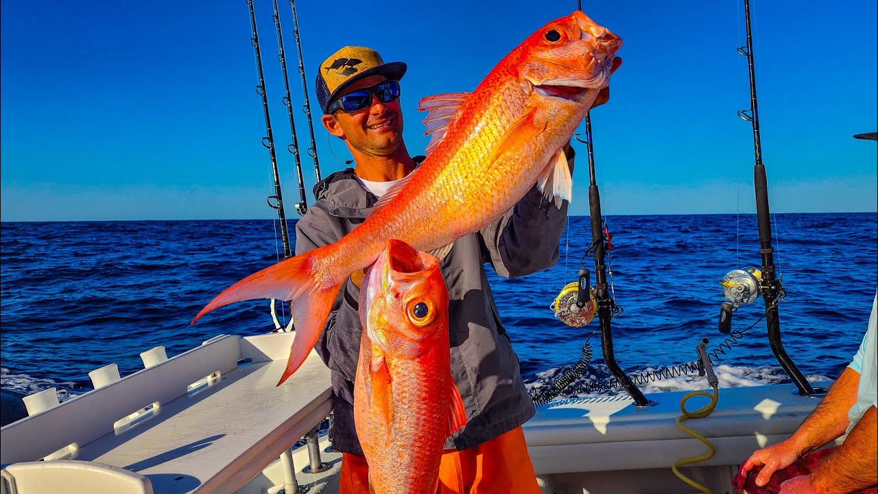 We Wanted Fish for Dinner… and Found Queen Snapper!