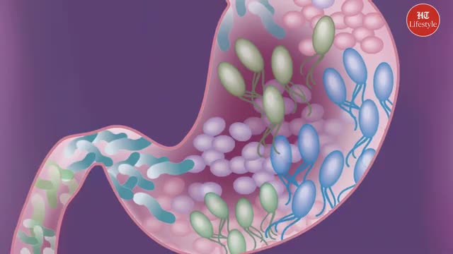 Fix Your Gut, Save Your Liver