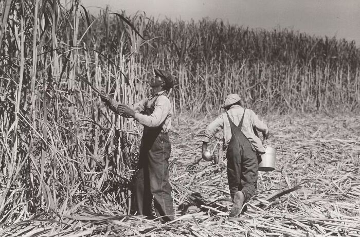 31 Great Depression Photos That Will Change How You See The Past