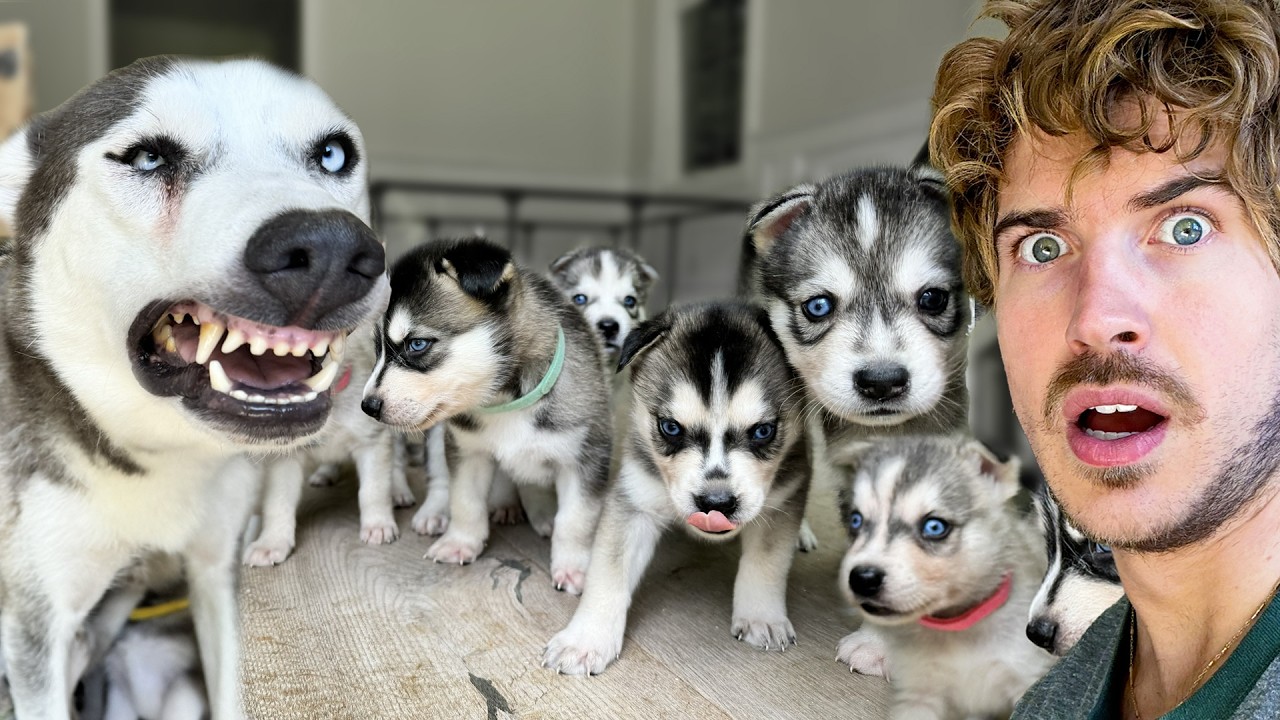 Rescue puppies receive new names, part two