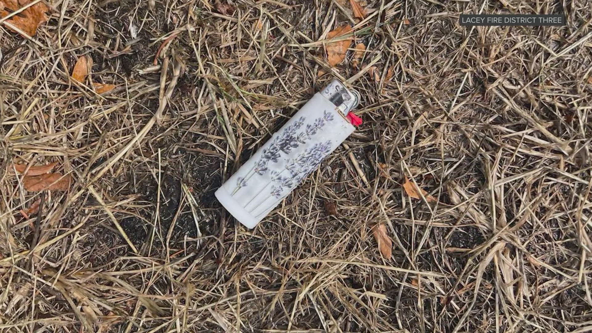 Children playing with lighter start brush fire in Lacey