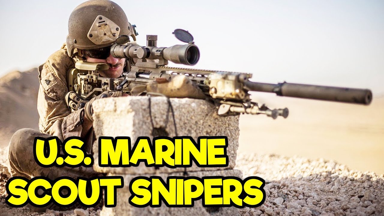 Inside the U.S. Marine Scout Sniper Program